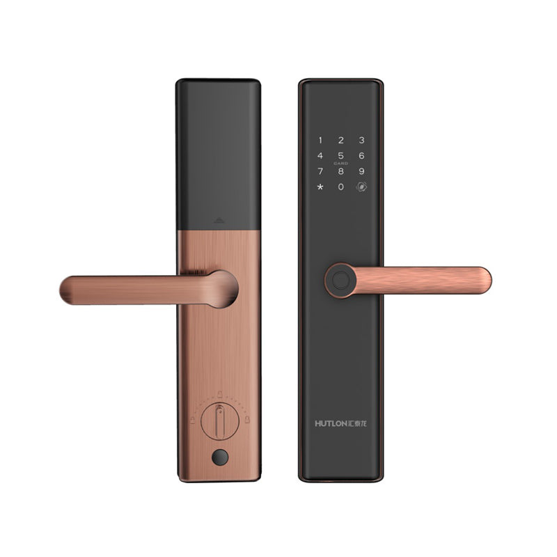 A4 Modern Intelligent Door Locks – Banwei-Asia
